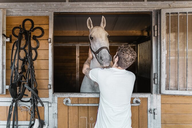 Vienna Horse-drawn Carriage Guided Tour - Setting the Scene: Our Journey From Simmering to the Heart of Vienna