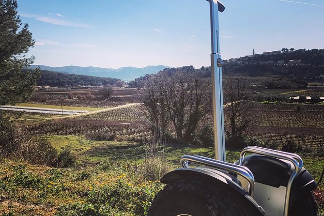 Vineyard Visit in Gyropod, Visit of Cave & Tasting Wines of Bandol - Wine Tasting Highlights