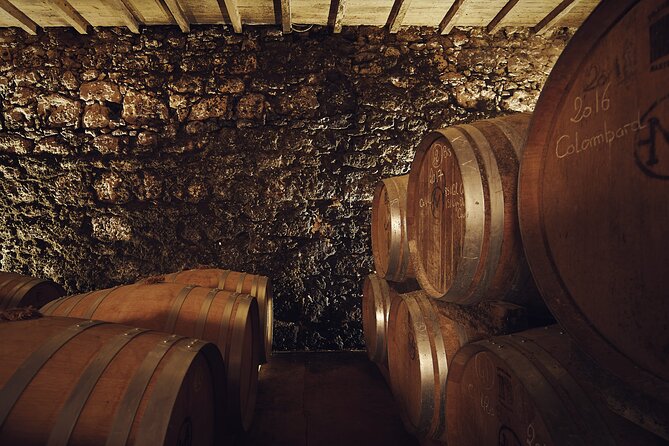 Visit and Wine Tasting: the Musketeers Wine - Vineyard Walk: Unveiling the Grape Varieties and Terroir