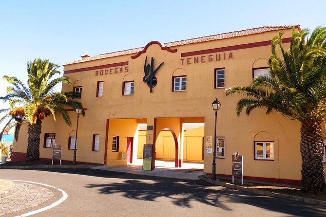 Visit Bodegas Teneguía Winery in La Palma With Wine Tasting - Behind-the-Scenes Tour: Winemaking Processes Unveiled