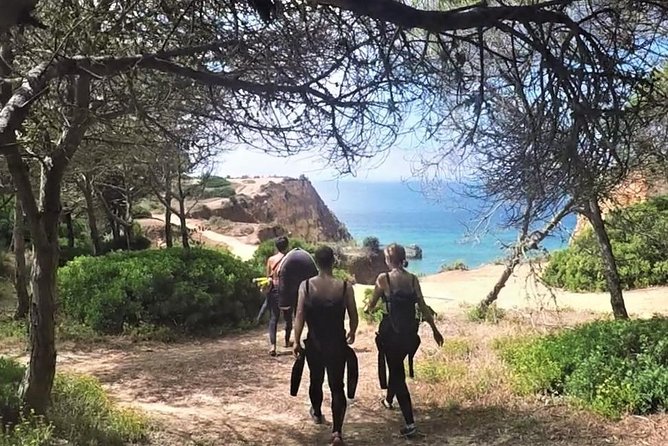 Visit Secret Caves, Hidden Beaches Review - Participant Experience