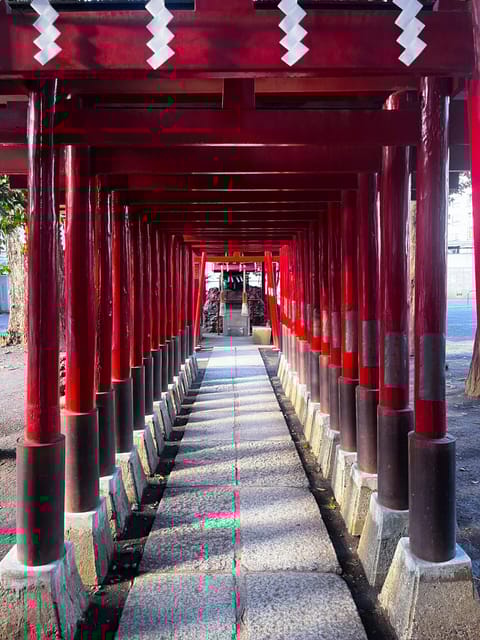 Walking Tour in Shinjuku & Kagurazaka: Tokyos Hidden Gems - Cultural Experiences