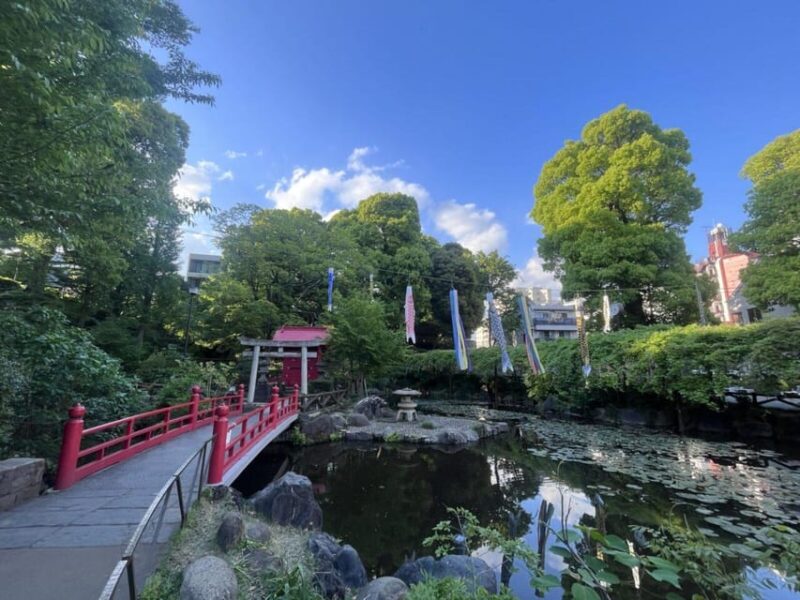 Walking Tour: Yanaka,Nezu& Sendagi: Tea Ceremony & Old Tokyo - Itinerary Details