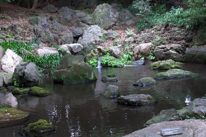 Wash Bodhisattva and Explore Japanese Garden, Tokyo. - Accessibility and Transportation