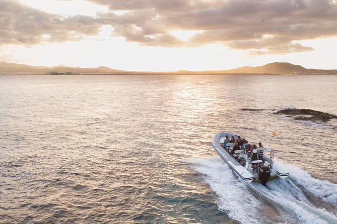 Water Taxi Lobos Island - Customer Feedback and Experiences