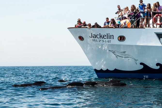 Whale Watching - Preparing for the Whale Watching Adventure