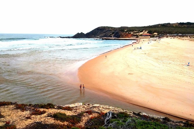 Wild and Wonderful West Coast Full Day Tour - Scenic Stops for Photography and Relaxation