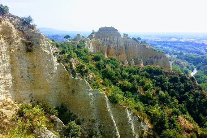 Wild Organs: Grand Landscape, Plants, Geology, Birdsongs - Fascinating Geology