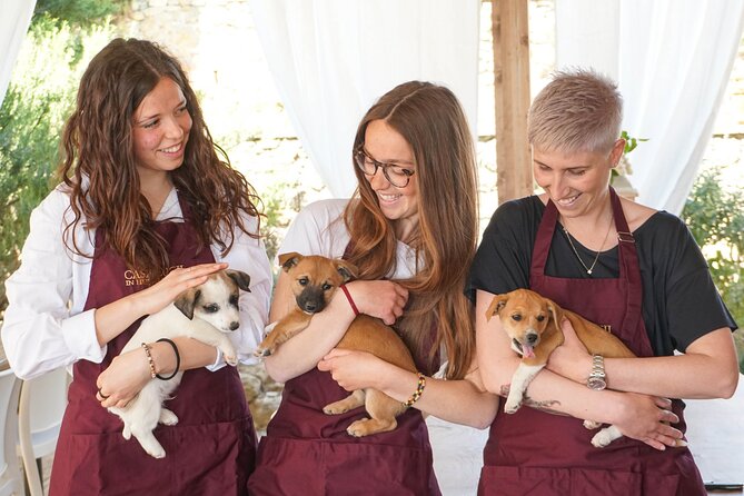 Wine and Food Tasting in an Organic Family Winery - Logistics and Accessibility