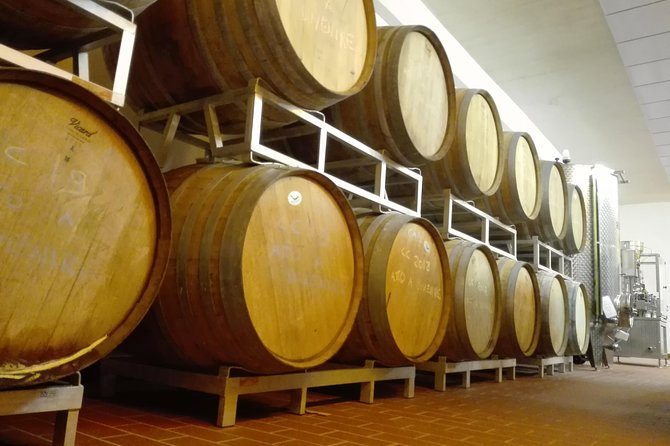 Wine Experience in Chianti Hills From Florence - Meeting and Pickup Details