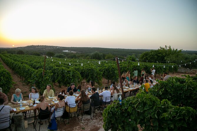 Wine Experience: Vineyard, Wines and Food - Cancellation Policy