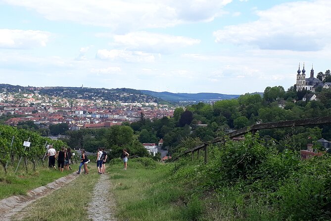 Wine Rally in Würzburg With Tasting - Accessibility Features of the Event
