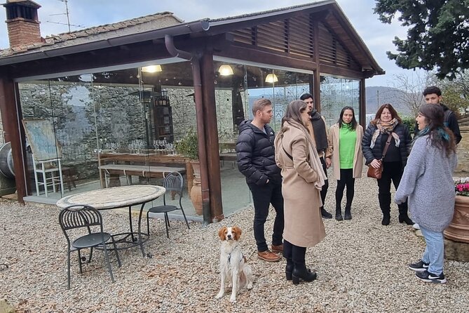 Wine Tasting in TWO Family Wineries Around Florence - Family Wineries: A Personal Touch