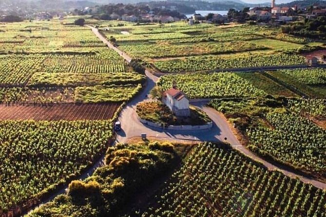 Wine Tour KorčUla - Private Tour - Accessibility