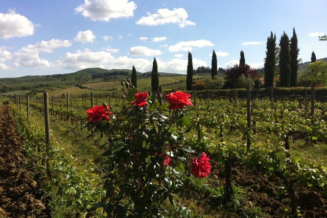 Wineries Tour and Wine Tastings in Chianti Hills From Florence - Customer Feedback and Experiences