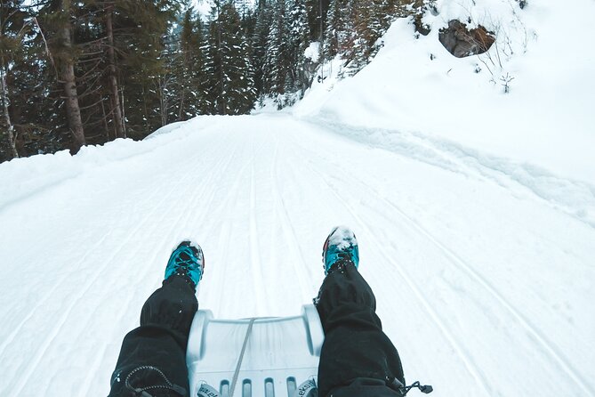 Winter Alpine Adventure - Reviews and Feedback