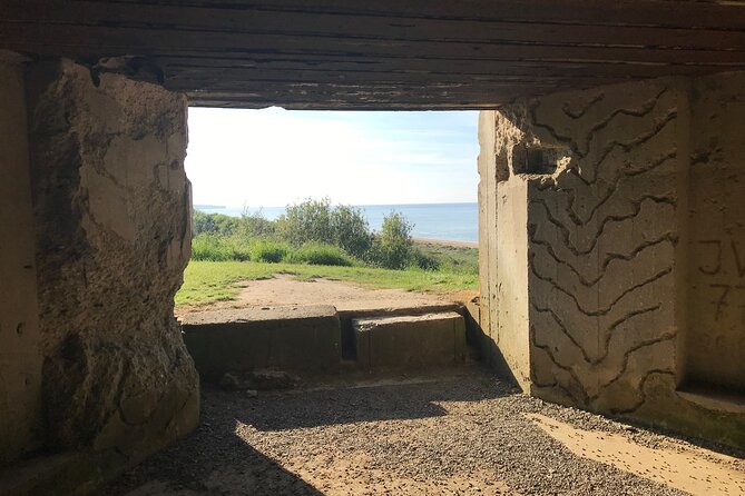 WW II Private Guided Tour American Landing Beaches in Normandy - Tour Guide and Experience