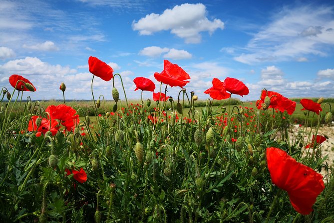 WW1 Australians in the Somme -Villers Bretonneux, Le Hamel - Day Trip From Paris - Practical Information for Travelers