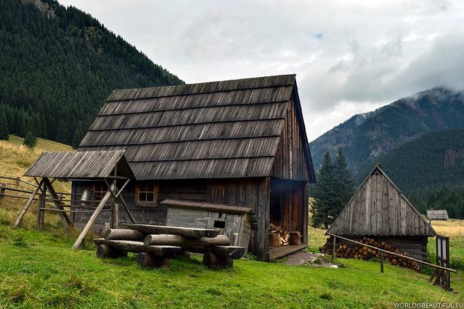 Zakopane & Thermal Springs: Private Tour - Relaxation at the Thermal Springs