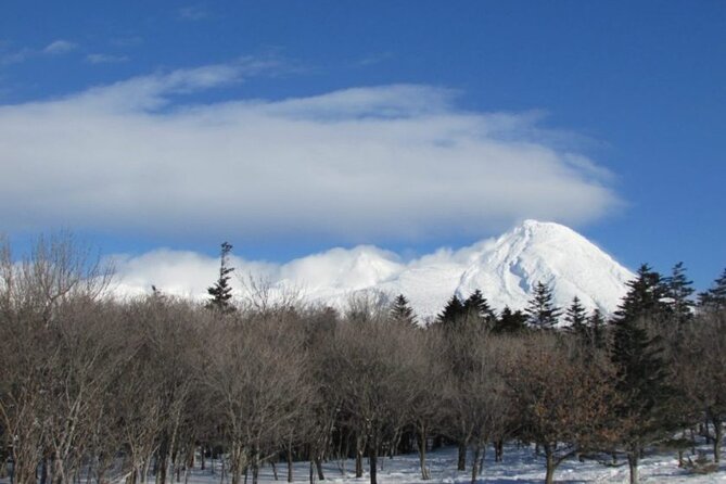 4.5 Hours Snowshoe Hike in Shiretoko Five Lakes - Key Points