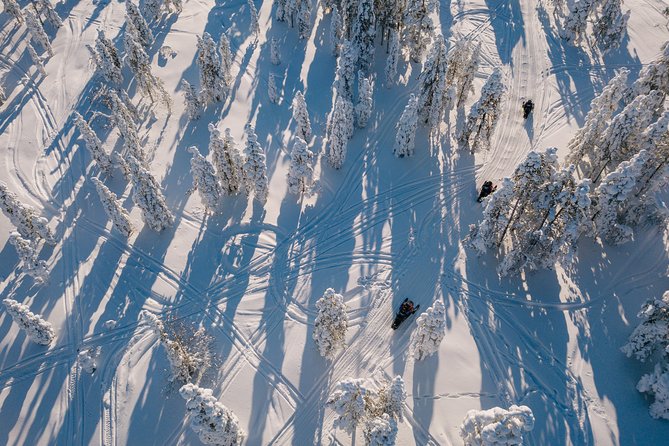 1-Hour Snowmobile Safari Experience - Highlights of the Experience