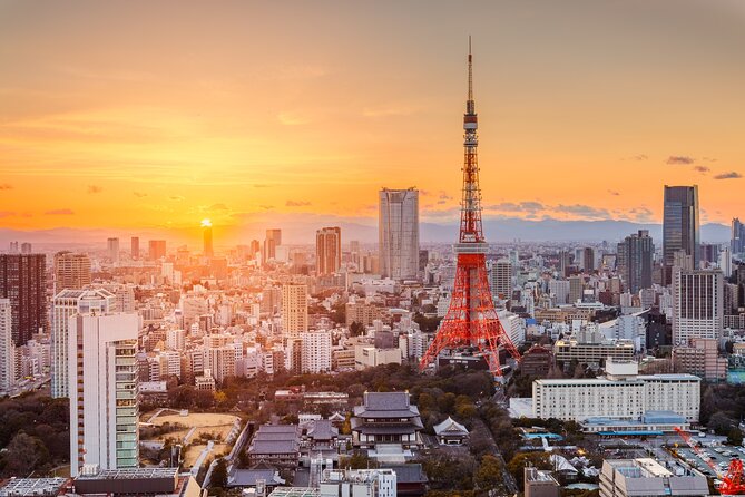 2-Day Tour: Mt Fuji and Tokyo Private Wagon & English Driver - Customer Reviews and Feedback