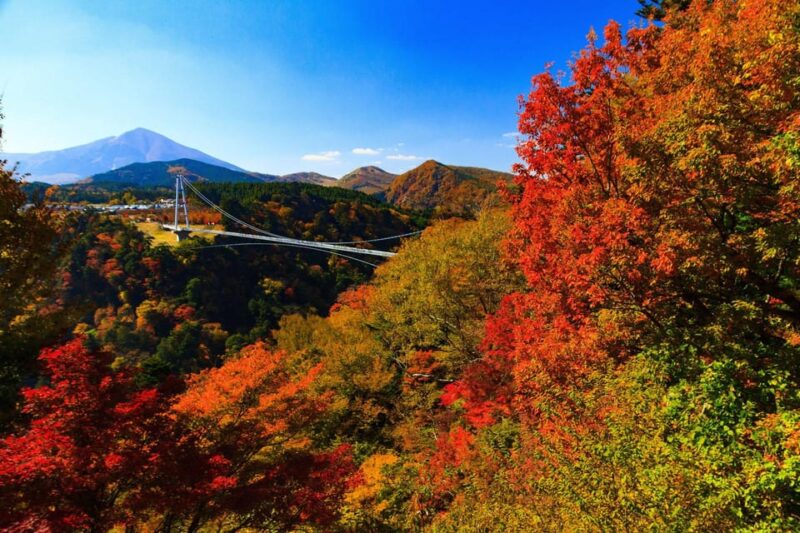 2 Day Tours: TAKACHIHO & BEPPU, YUFUIN, KOKONOE From Fukuoka - Beppu Onsen