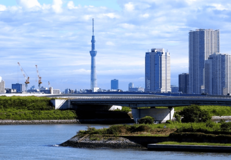 2 Days Tokyo, Mount Fuji Trip Private Guided Tour - Experience Highlights