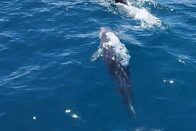 2 H Estepona Bay Tour - Positive Feedback