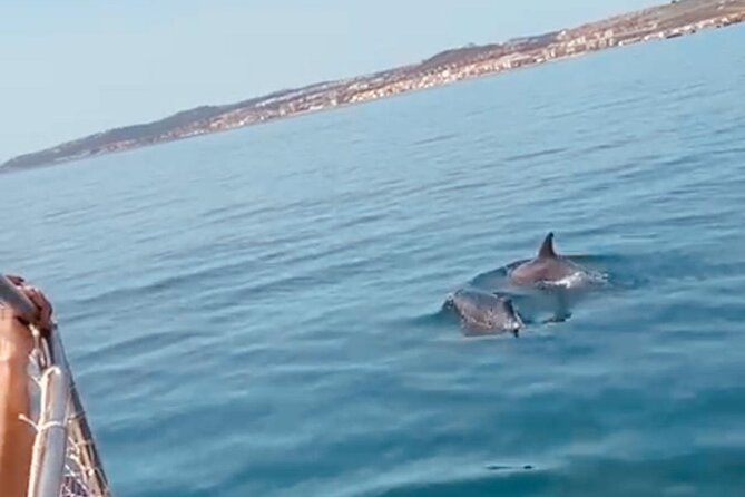 2-Hour Excursion in Search of Dolphins/Drinks and Snacks - Negative Customer Experiences
