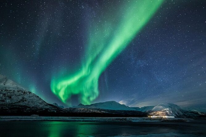 24hr Northern Lights & Whale Watching Cruise - Highlights From Guest Feedback