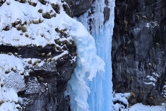 3.5hours Primeval Forest Snowshoe Hike and Wildlife Watching Tour - Additional Details