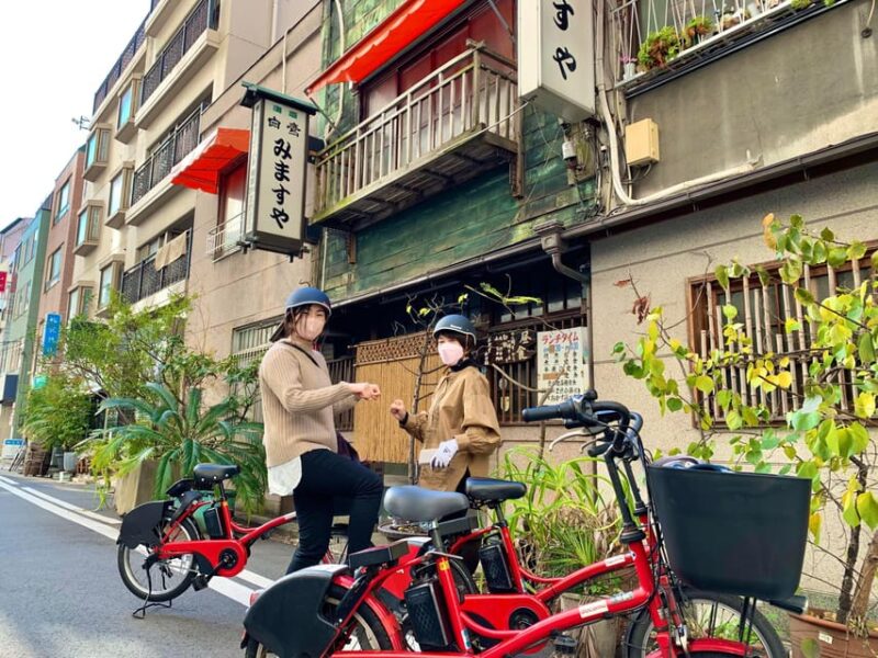 3 Hours E Bike Tour Around Chiyoda Tokyo Prefecture - Taking in Akihabaras Electric Atmosphere