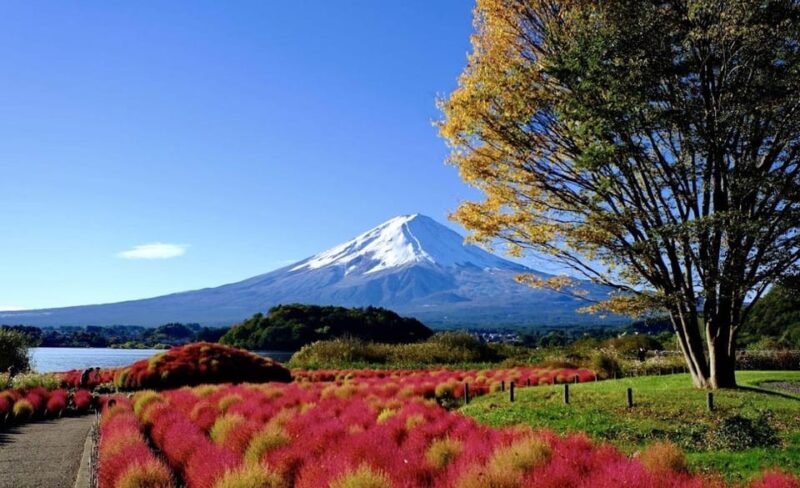 4 Days Private Customize Tour MT Fuji, Hakone, Niko, Tokyo - Destination: Hakone