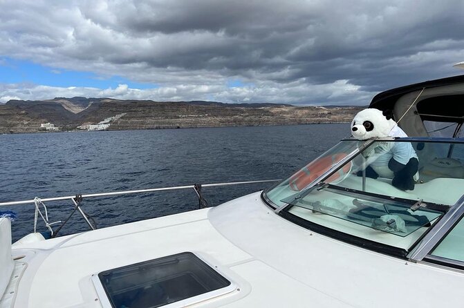 4 Hour Boat Tour With Snorkeling From Puerto Rico and Mogan - Booking Information and Policies