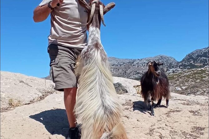 4x4 Safari Tour Southern Crete Tripitis Gorge - Important Information