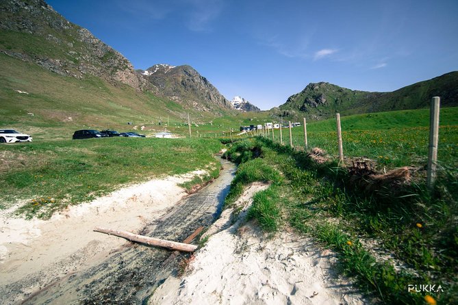 5 Highlights Of Lofoten From Svolvær - Wildlife Spotting Opportunities