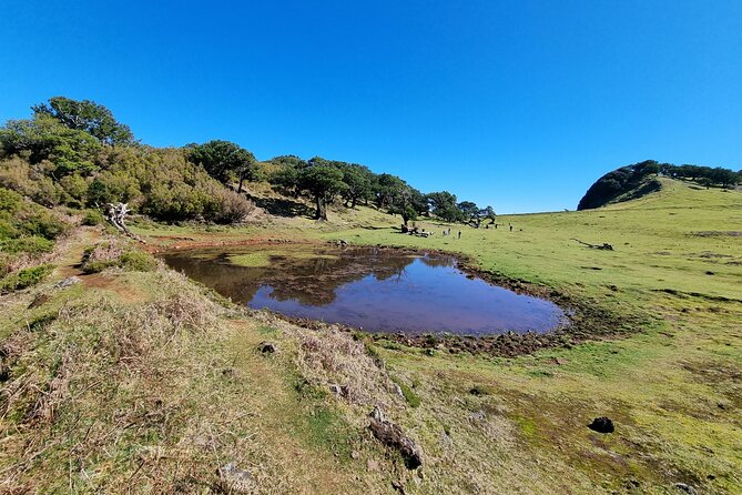 5 Hours Private Tour to Porto Moniz, Rock Pools, Waterfalls - Tour Inclusions and Pricing Details