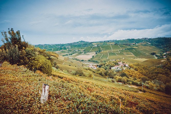 Abellonio Cascina Piccaluga - Visit to the Vineyards, to the Wine Tasting Cellar - Planning Your Visit to Abellonio Cascina Piccaluga