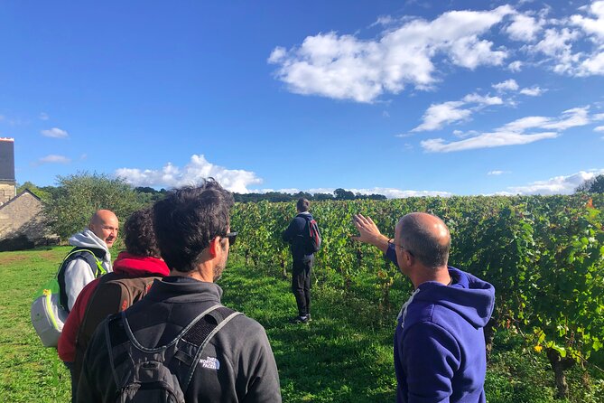 Afternoon Loire Valley Wine Tour From Tours or Amboise - Highlights of the Tour