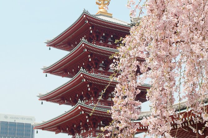Airport Pick-Up or Drop-Off Service in Tokyo - Customer Reviews