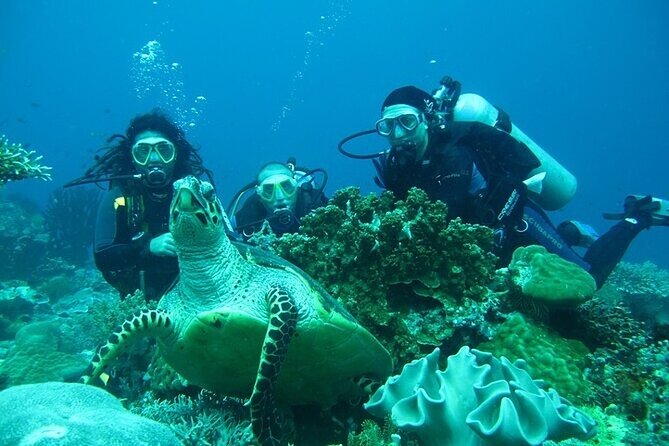 Alanya Scuba Diving With Lunch and Transfer - Reviewing the Provider and Customer Feedback
