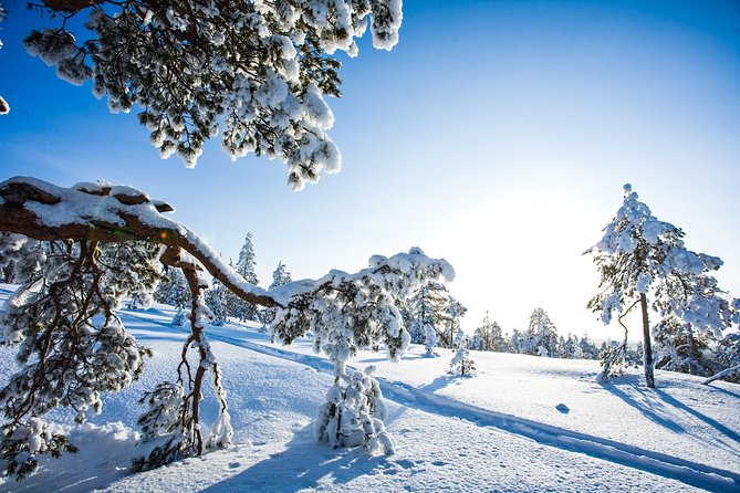 All Day Snowmobile Driving - Safety Considerations