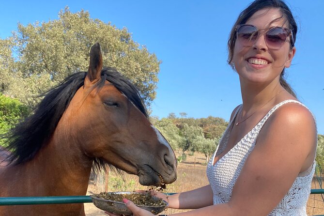 Alpaca Meet and Feed in Grândola - Accessibility and Group Size