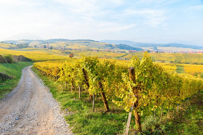 Alsace Villages Half Day Tour From Colmar - Tips for Your Tour Experience