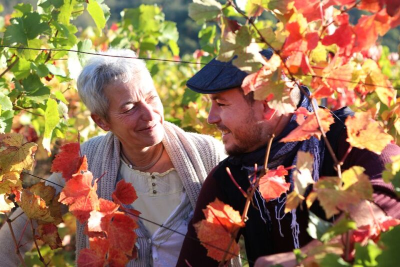 Alsace: Winery Tour & Tasting - Customer Feedback