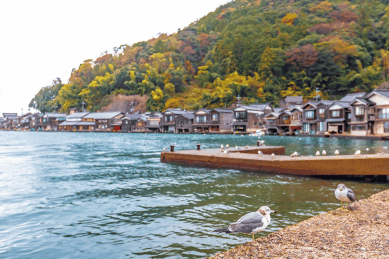 Amanohashidate & Ine Bay Tour With English Speaking Driver - Transportation and Amenities