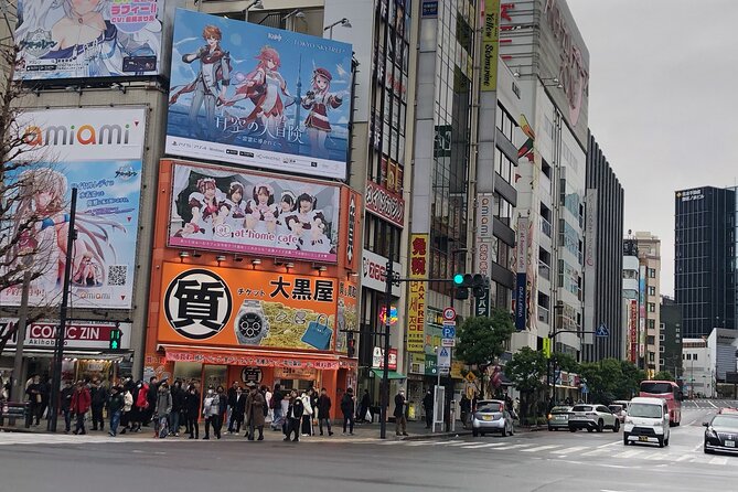 Amazing Tsukiji Fish Market and Akihabara Pop Culture of Tokyo　 - Taking in the Anime and Manga Culture