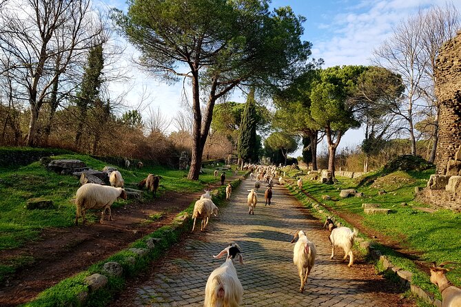 Ancient Appian Way and Roman Countryside E-Bike Tour - Preparing for the Tour