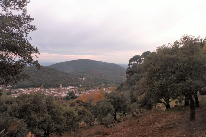 Aracena & Riotinto Mines Tour From Seville - Discovering the Riotinto Mine and River